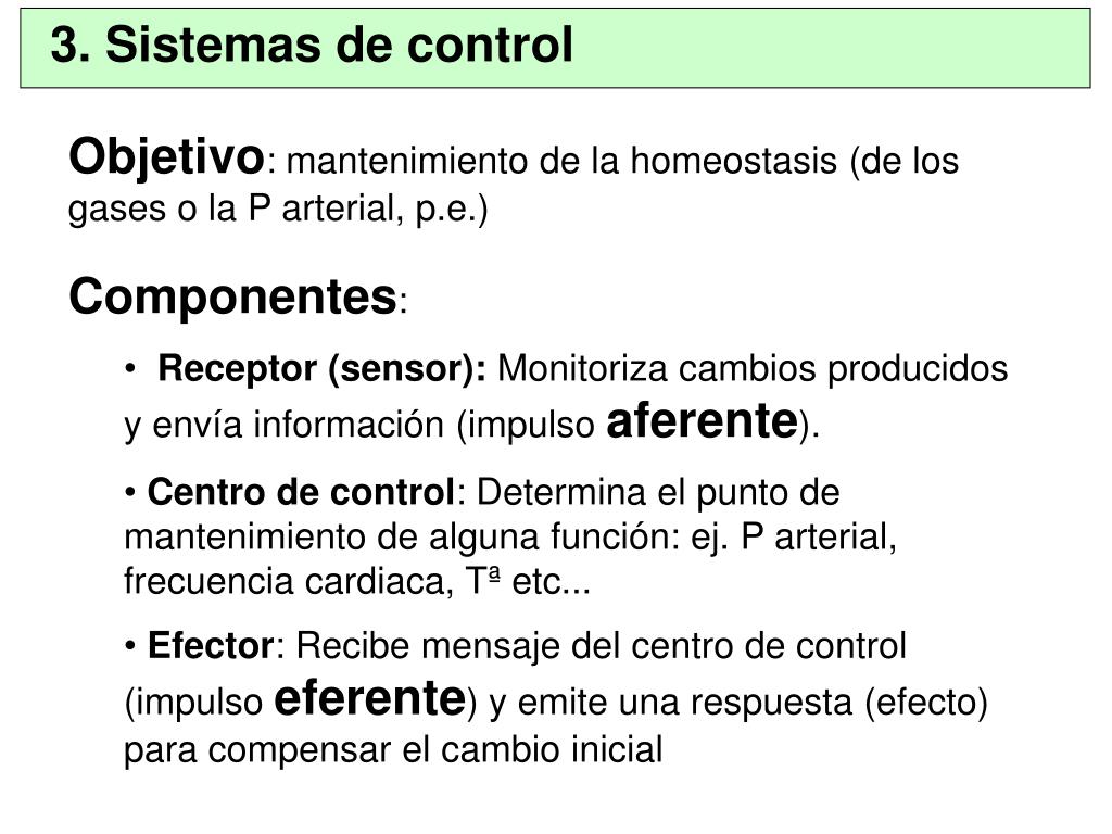 PPT - TEMA 2. Diferenciación celular. Organización funcional del cuerpo ...