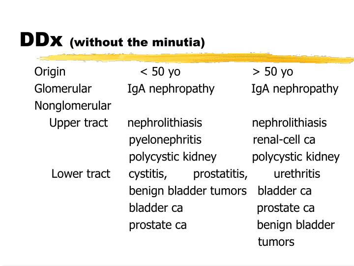 PPT - Approach to Hematuria PowerPoint Presentation - ID:5591686
