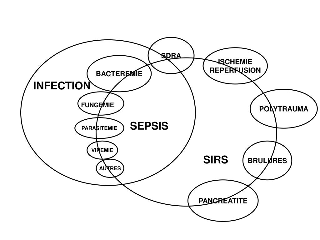 PPT - CRITERES de GRAVITE d’un SYNDROME INFECTIEUX PowerPoint ...