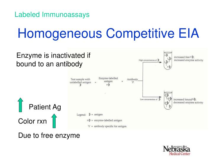 PPT - Labeled Immunoassays PowerPoint Presentation - ID:5592543