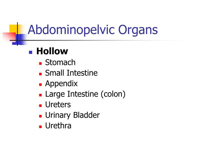 PPT - Basic Anatomy PowerPoint Presentation - ID:5593493