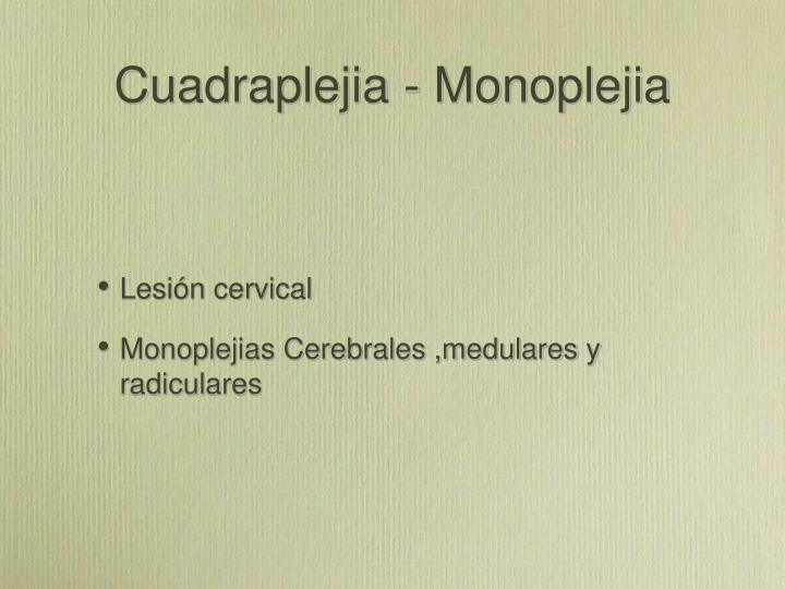 PPT - SINDROME PIRAMIDAL PowerPoint Presentation - ID:5593503