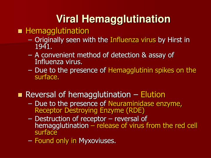 PPT - Laboratory Diagnosis of Viral Infection PowerPoint Presentation ...