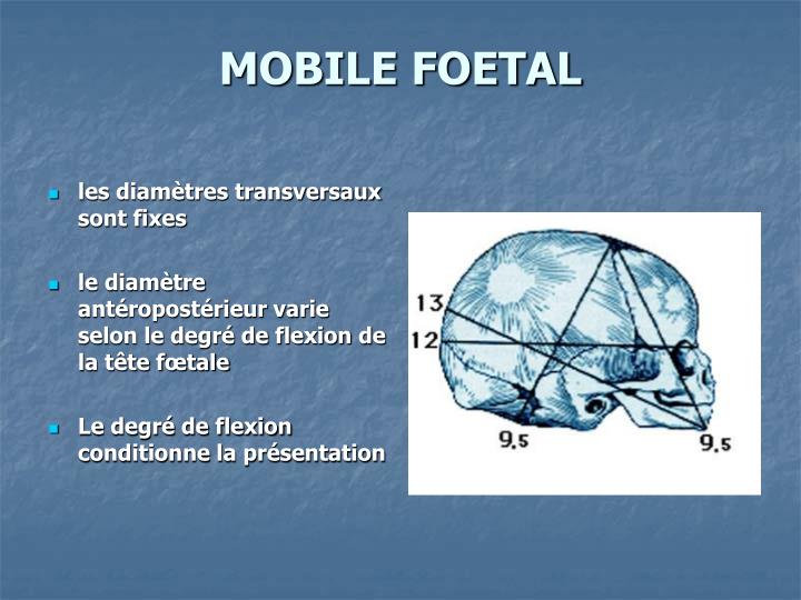 PPT - Accouchement normal PowerPoint Presentation - ID:5595144