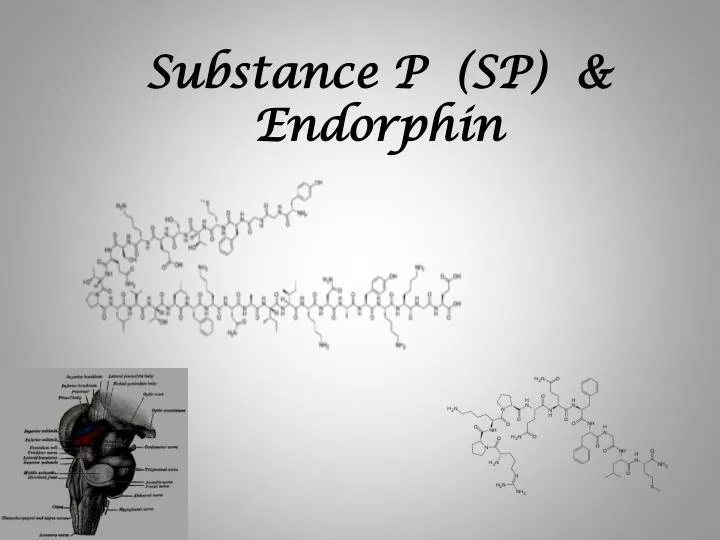 PPT - Substance P (SP) & Endorphin PowerPoint Presentation, free ...