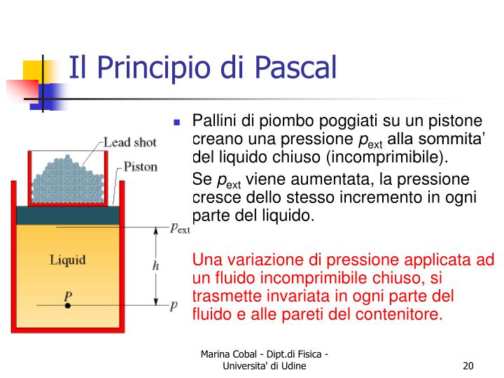 PPT - I fluidi PowerPoint Presentation - ID:5596843