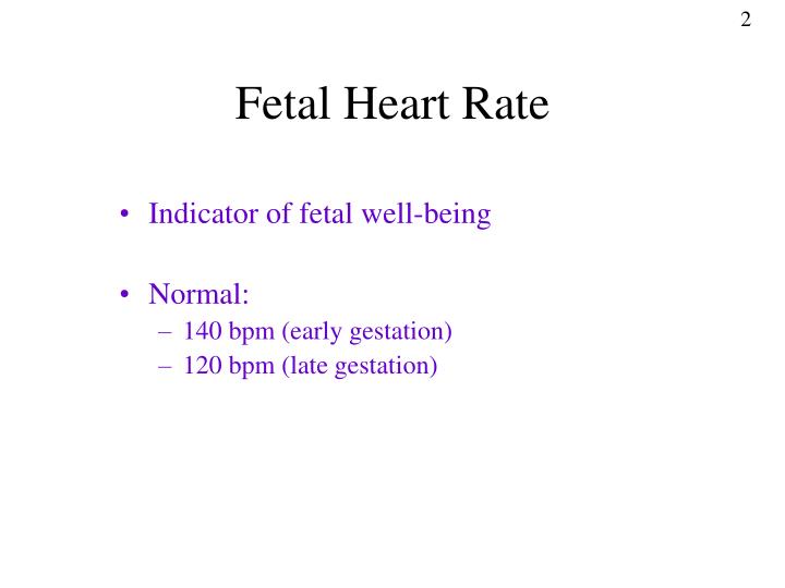 PPT - Neonatal/Pediatric Cardiopulmonary Care PowerPoint Presentation ...