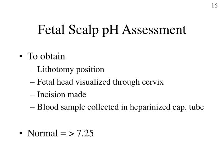 PPT - Neonatal/Pediatric Cardiopulmonary Care PowerPoint Presentation ...