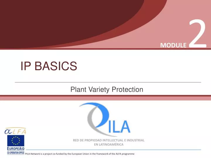 PPT - IP BASICS PowerPoint Presentation, free download - ID:5597427