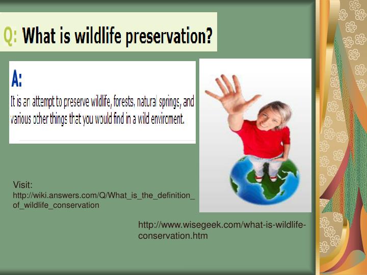 PPT - Wildlife Conservation: Its importance and benefits to all ...