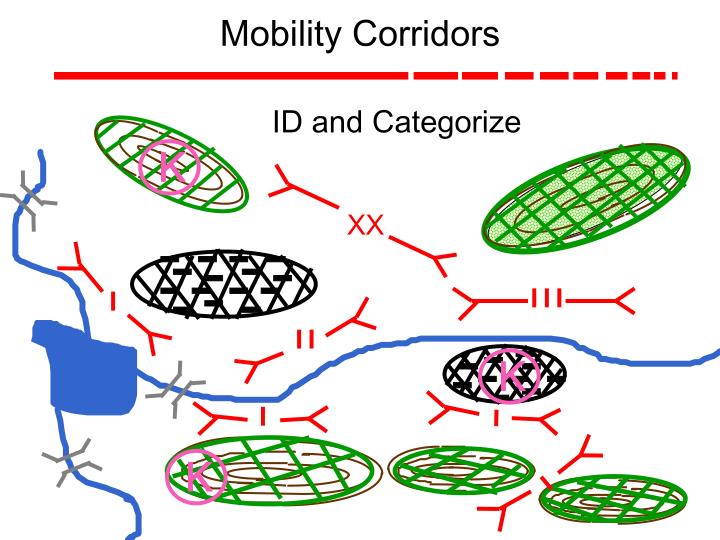 PPT - Purpose PowerPoint Presentation - ID:5598491