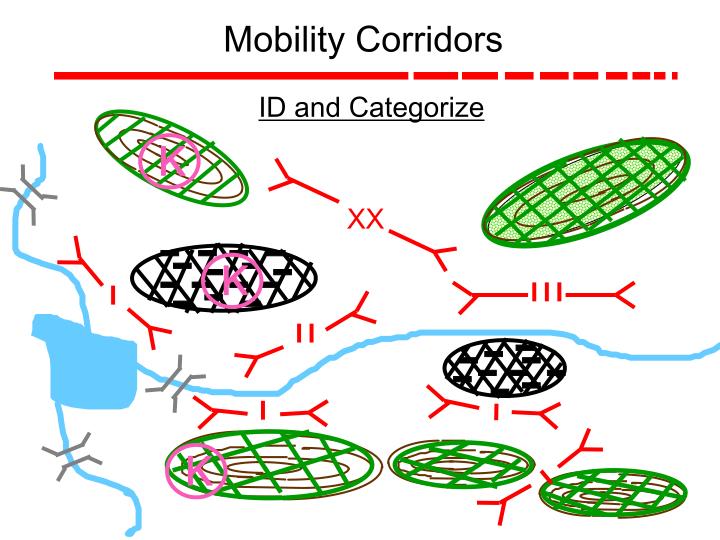 PPT - Purpose PowerPoint Presentation - ID:5598491