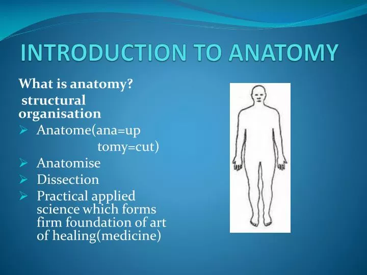 Ppt Introduction To Anatomy Powerpoint Presentation Free Download