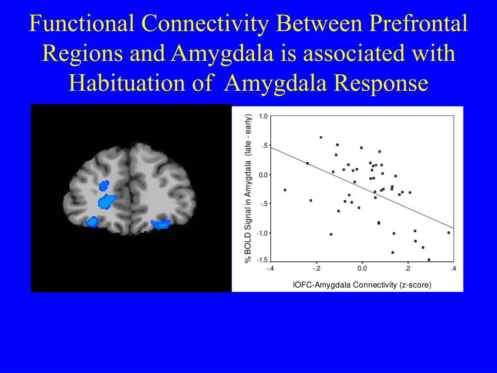 PPT - Sackler Institute for Developmental Psychobiology Weill Medical ...
