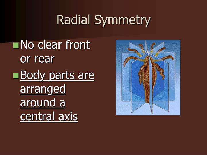 PPT - Chapter 23 PowerPoint Presentation - ID:5600105