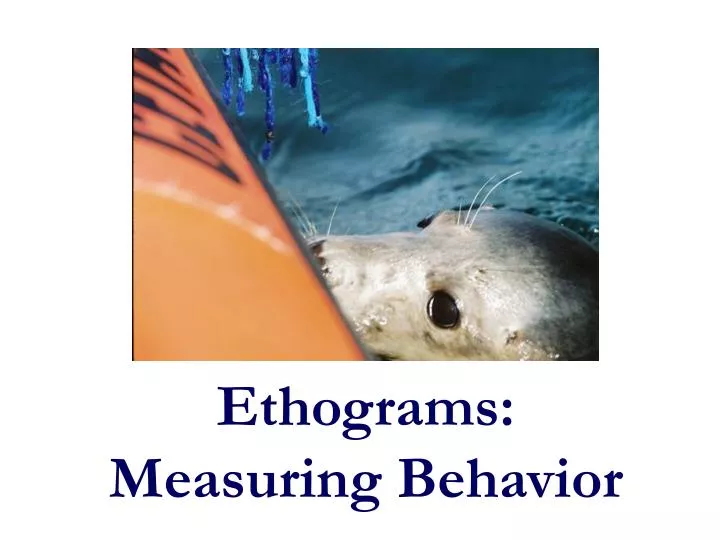 PPT - Ethograms: Measuring Behavior PowerPoint Presentation, free ...