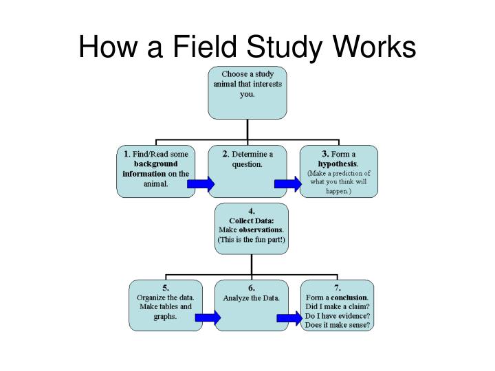 PPT - Ethograms: Measuring Behavior PowerPoint Presentation - ID:5600463