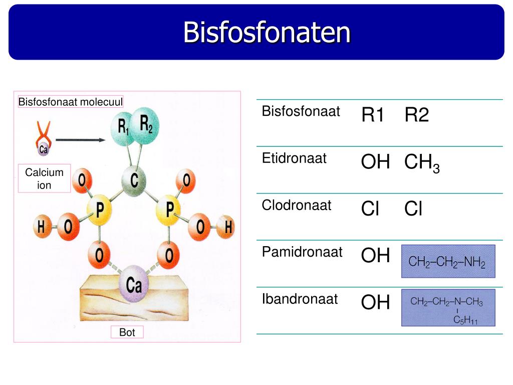 PPT - De rol van bisfosfonaten bij behandeling van borstkanker; waar ...
