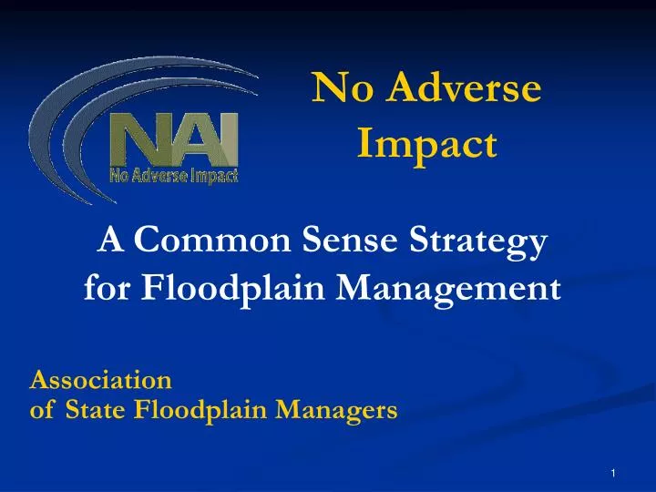 PPT - No Adverse Impact PowerPoint Presentation, free download - ID:5601846