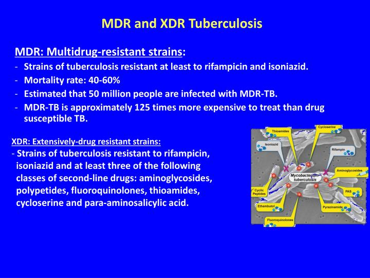 PPT - Tuberculosis PowerPoint Presentation - ID:5602967