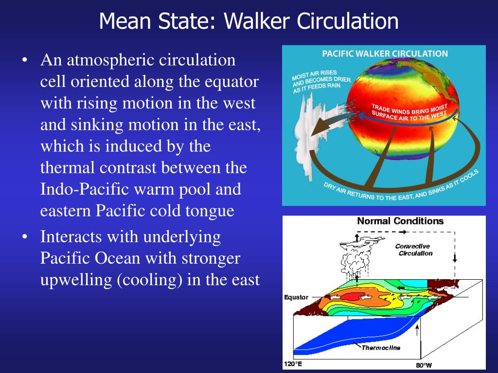PPT - Tropical Climate - From El Nino to Sea Breeze PowerPoint ...