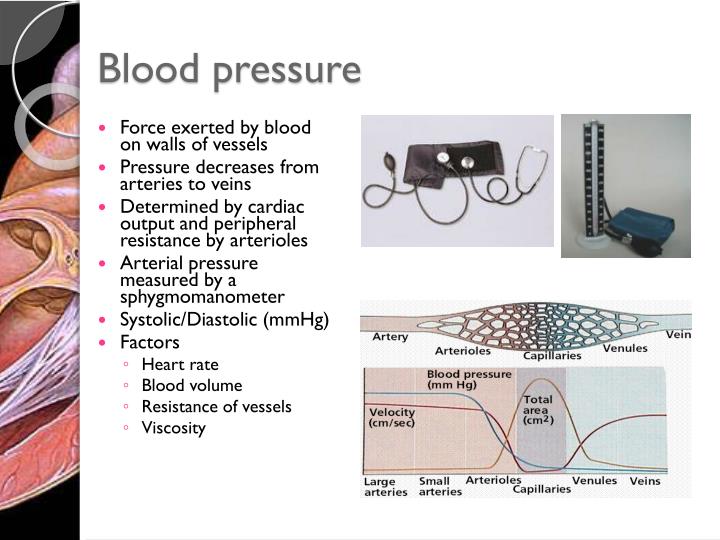 PPT - Human Circulation PowerPoint Presentation - ID:5603803