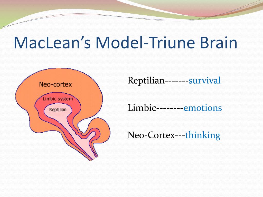 PPT - Patricia S. Benfield , MHDL, CRT, CBIS-CI, CCAA North Carolina ...