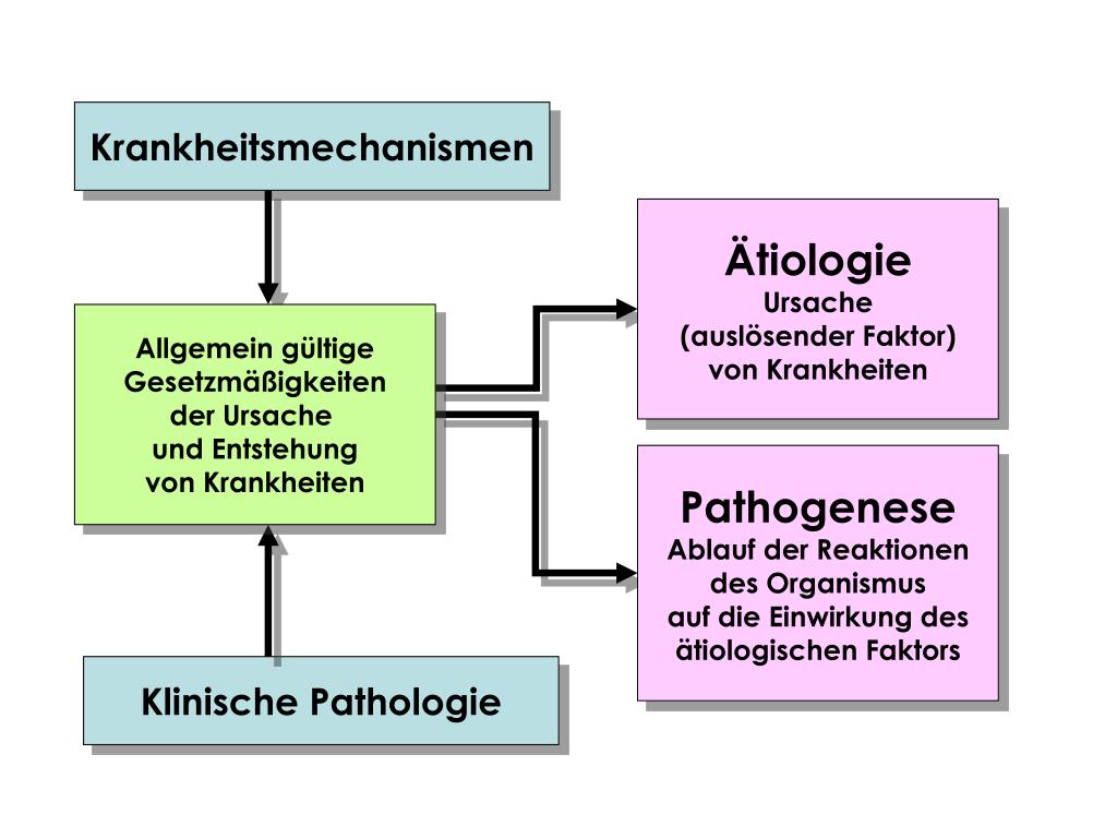 PPT - Allgemeine Pathologie Charakteristika von Erkrankungen ...