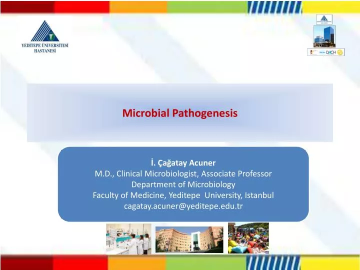 PPT - Microbial Pathogenesis PowerPoint Presentation, free download ...