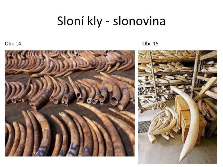 PPT - Označení DUM 19 - 14 - Fa - DUM PowerPoint Presentation - ID:5605207