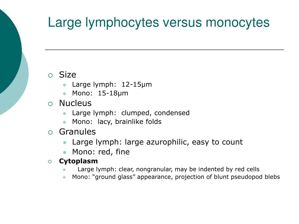 PPT - MLAB 1315- Hematology Keri Brophy-Martinez PowerPoint ...