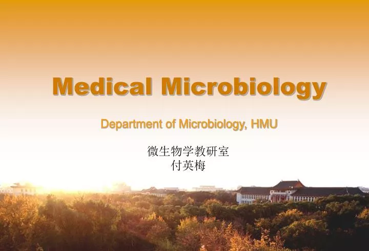 PPT - Medical Microbiology PowerPoint Presentation, free download - ID ...