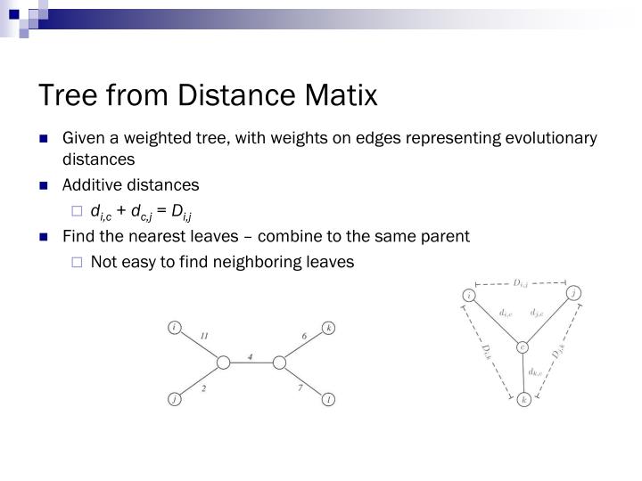 PPT - Tree-building methods: Distance vs. Char PowerPoint Presentation ...