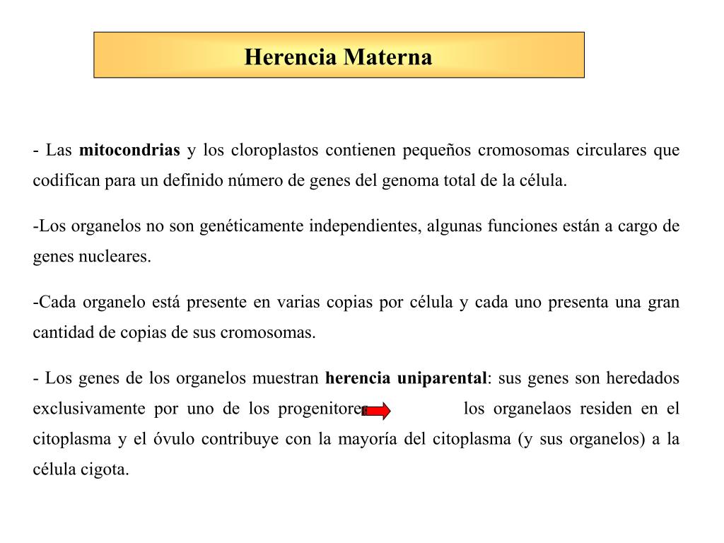 PPT - Existen diferentes patrones de herencia según las posibles ...