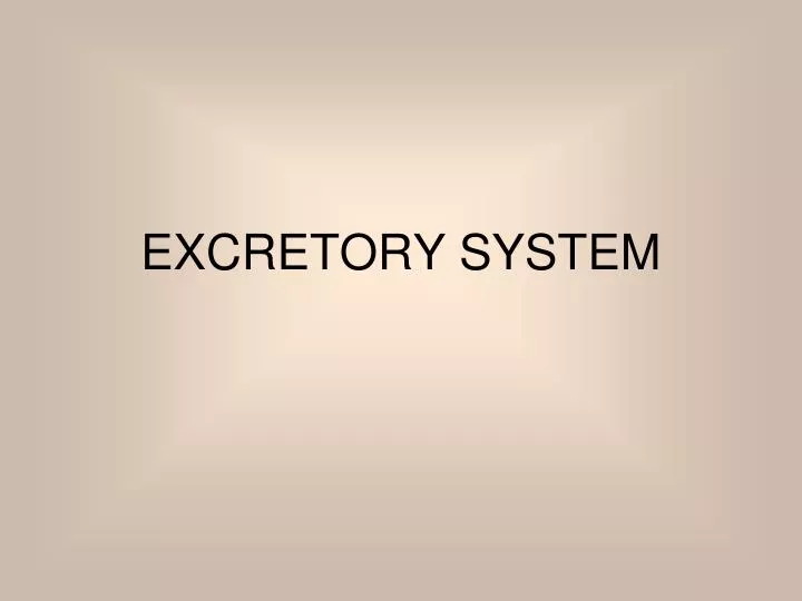 PPT - EXCRETORY SYSTEM PowerPoint Presentation, free download - ID:5607330