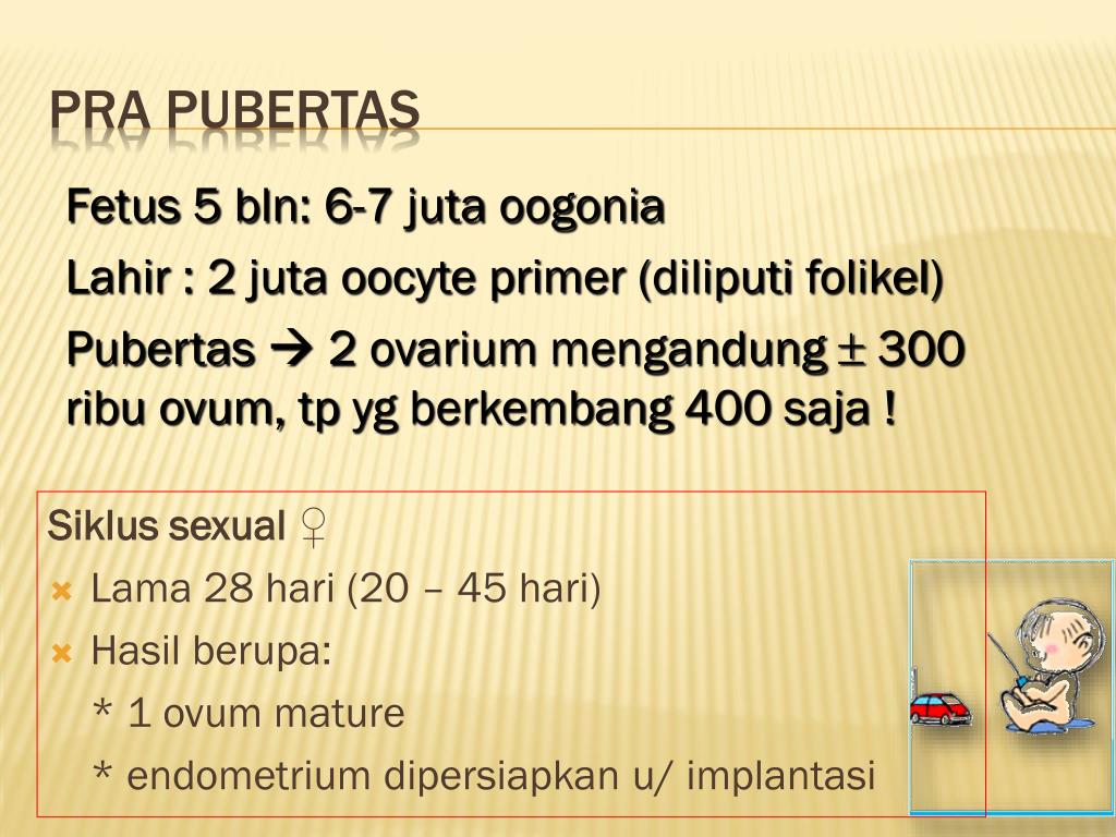 PPT - Siklus kehidupan Wanita PowerPoint Presentation, free download ...