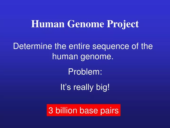 Ppt Human Genome Project Powerpoint Presentation Id 5609609