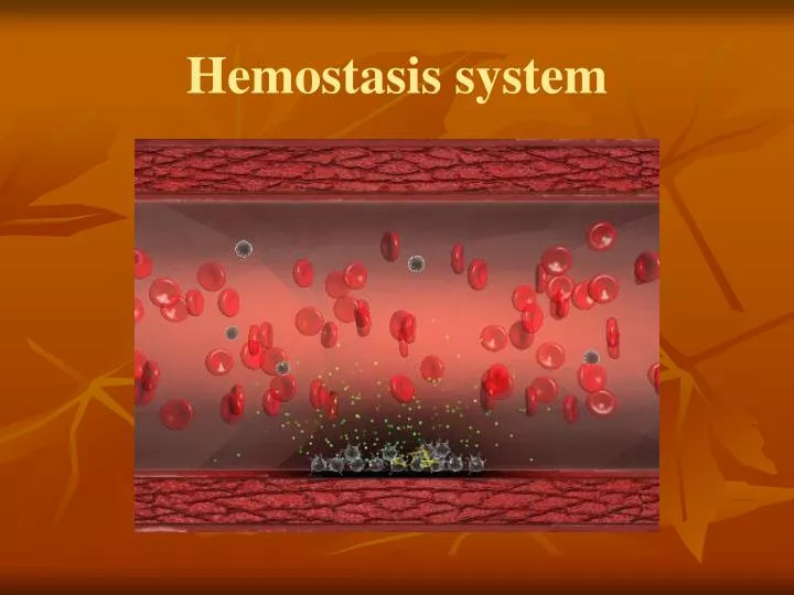 PPT - Hemostasis system PowerPoint Presentation, free download - ID:5610611