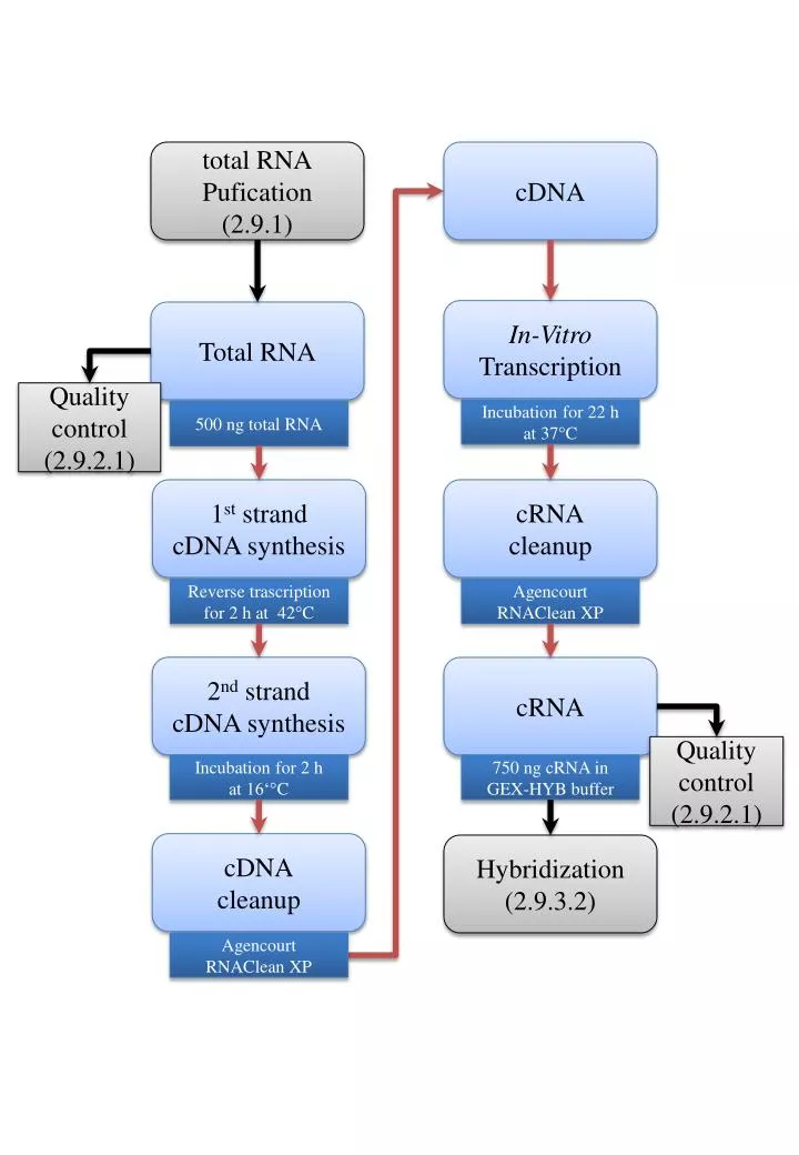 PPT - Total RNA PowerPoint Presentation, free download - ID:5611732