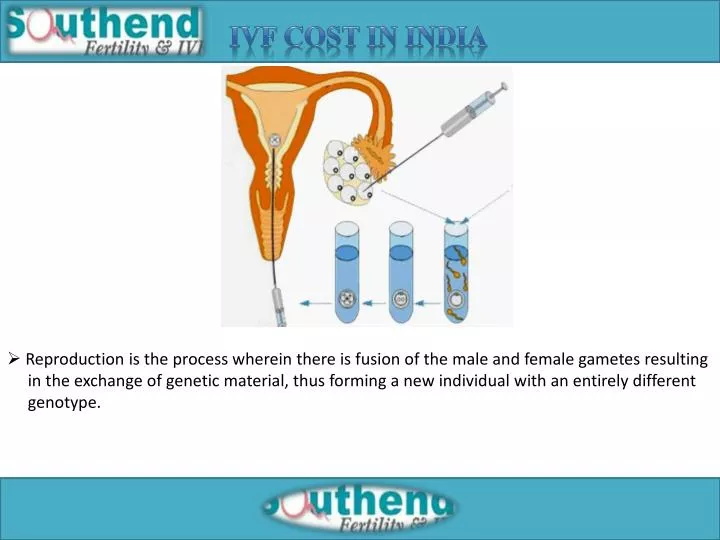 Ppt Ivf Cost In India Ivf Ivf Treatment Ivf Success Rate