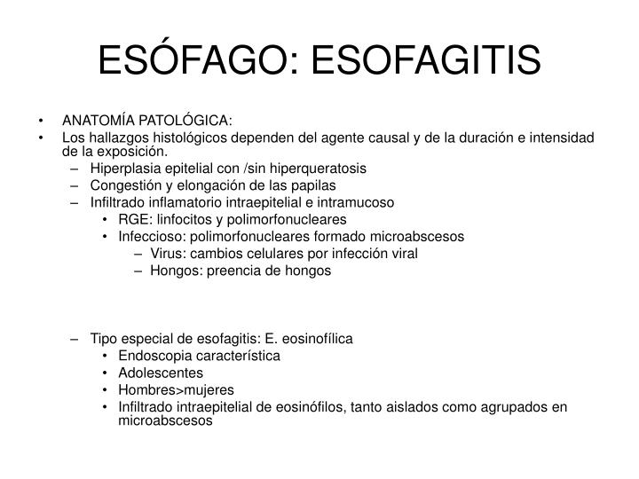 PPT - ESÓFAGO INFLAMACIÓN Y TUMORES PowerPoint Presentation - ID:5613581