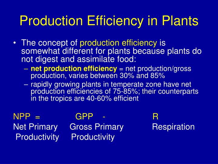 PPT - Ecosystem Energetics PowerPoint Presentation - ID:5613880