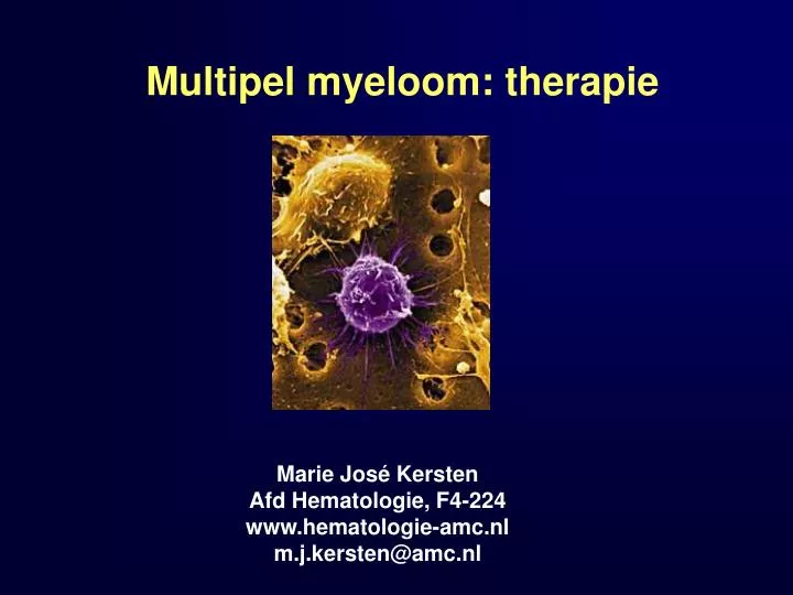 PPT - Multipel myeloom: therapie PowerPoint Presentation, free download ...
