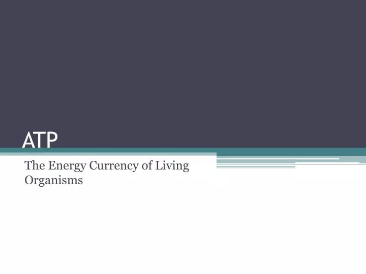 PPT - ATP PowerPoint Presentation, free download - ID:5614614