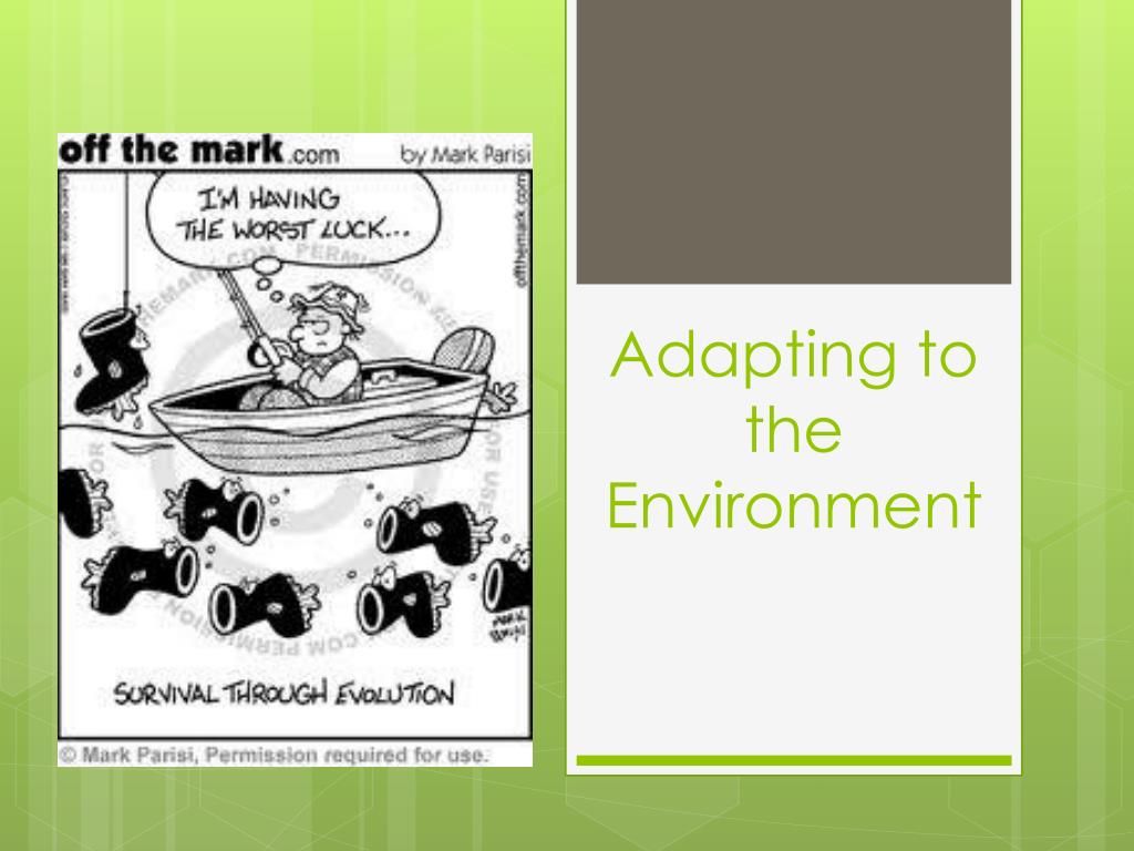 PPT - Adapting to the Environment PowerPoint Presentation, free ... PPT - Adapting to the Environment PowerPoint Presentation, free ...