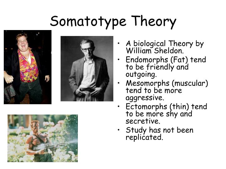 PPT - Trait Theories of Personality PowerPoint Presentation - ID:5616262