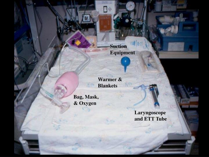 PPT - Neonatal Resuscitation PowerPoint Presentation - ID:5616378