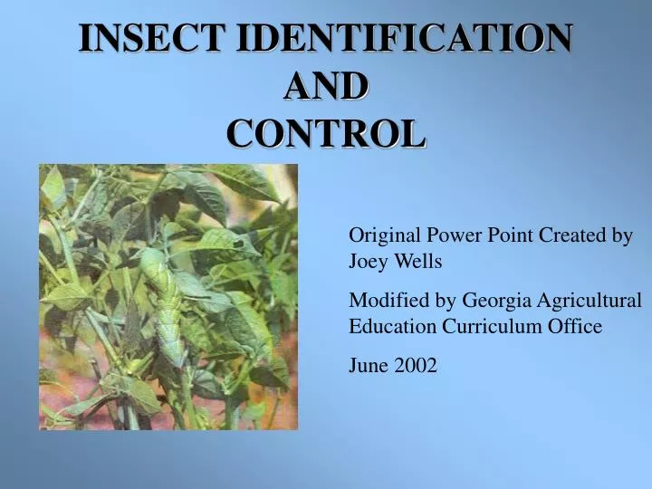 PPT - INSECT IDENTIFICATION AND CONTROL PowerPoint Presentation, free ...