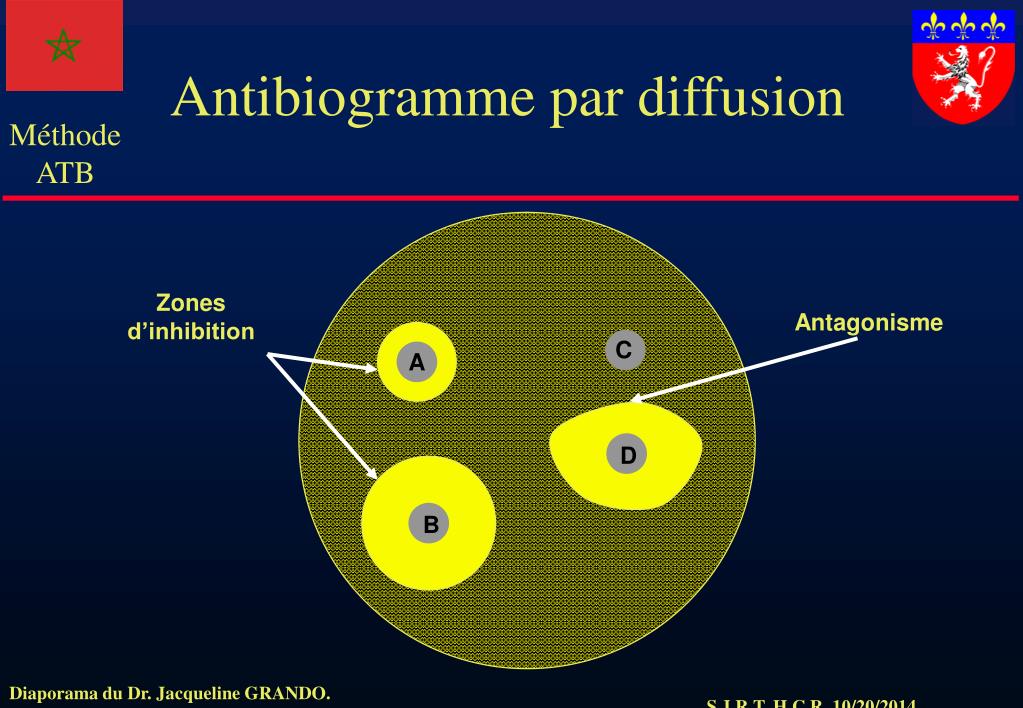 PPT - Cours de Bactériologie Faculté de Médecine de Fès PowerPoint ...