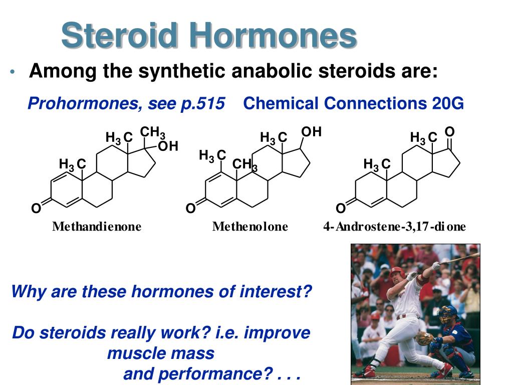 Ppt Steroid Hormones Powerpoint Presentation Free Download Id 5620268